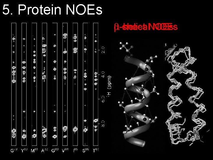 Protein NMR Part II 1 Protein Structures by