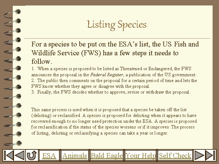 An Introduction to Endangered Animals ESA Animals Bald