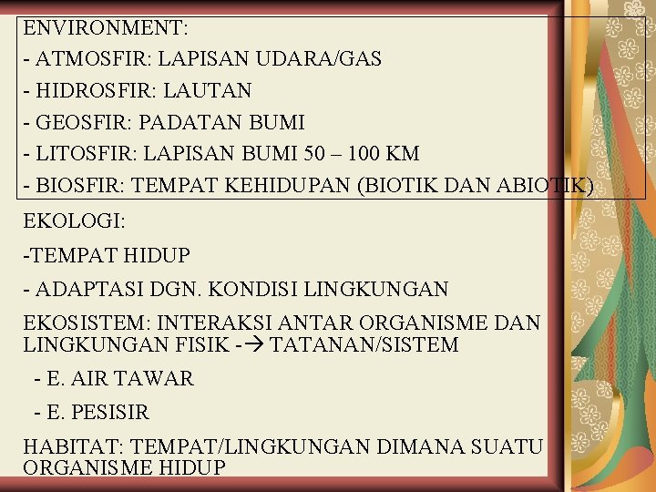ENVIRONMENT ATMOSFIR LAPISAN UDARAGAS HIDROSFIR LAUTAN GEOSFIR PADATAN