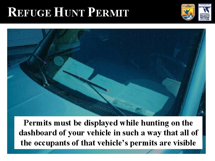 Eastern Shore National Wildlife Refuge Big Game Hunt