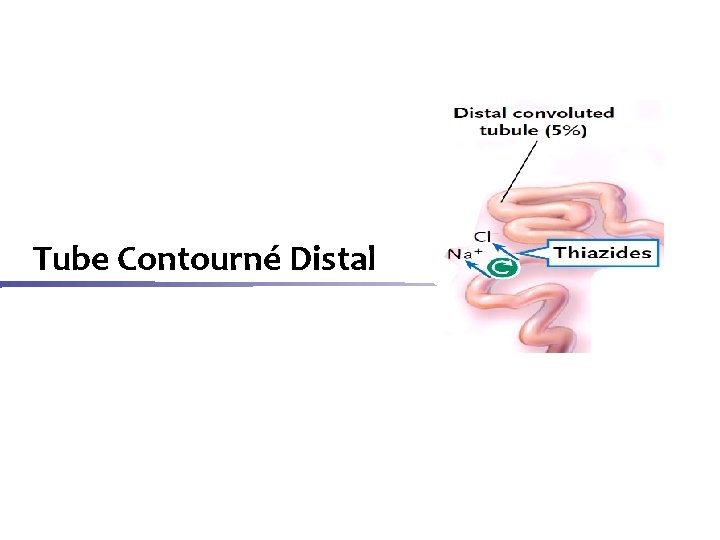 Anomalies du Transport Rnal du Na Tubulopathies Hrditaires