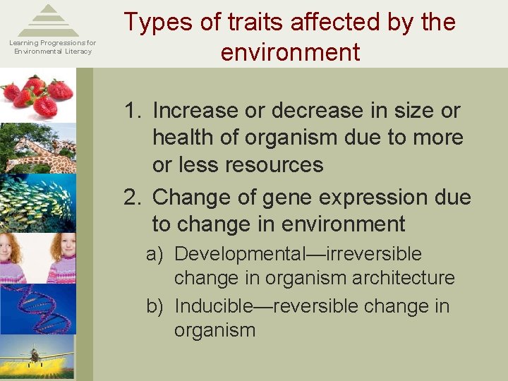 The Role of Heredity and Environment in Students