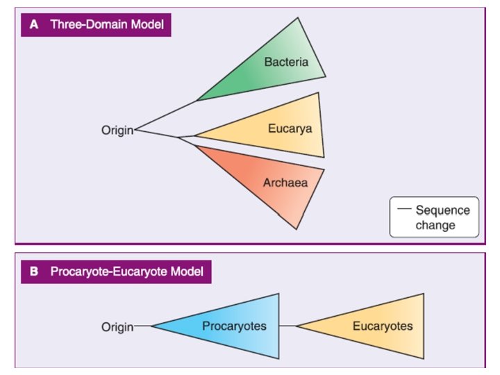 La gnomique nouvel observatoire du monde microbien Jean