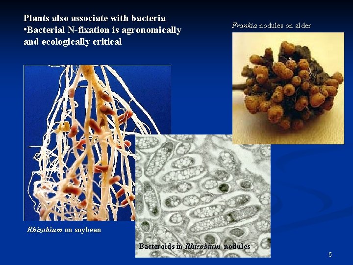Symbiosis from organisms to Earth KAUST Winter Enrichment
