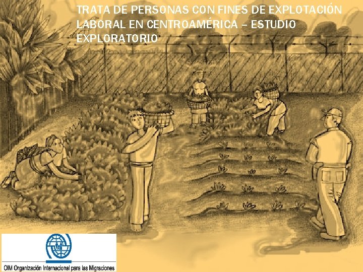 TRATA DE PERSONAS CON FINES DE EXPLOTACIN LABORAL