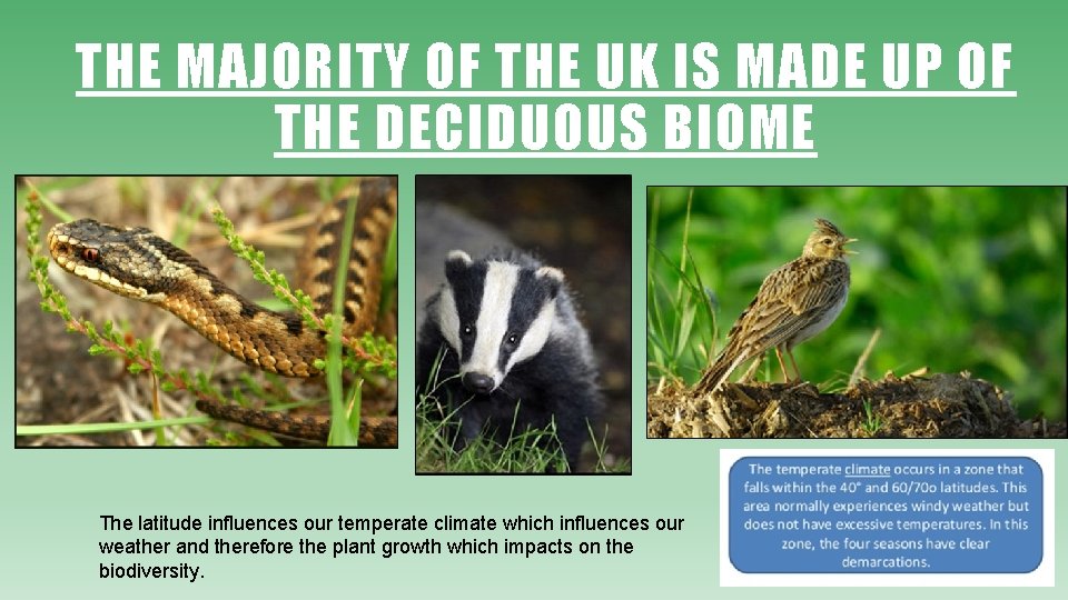 3 7 Deciduous woodland ecosystems provide a range
