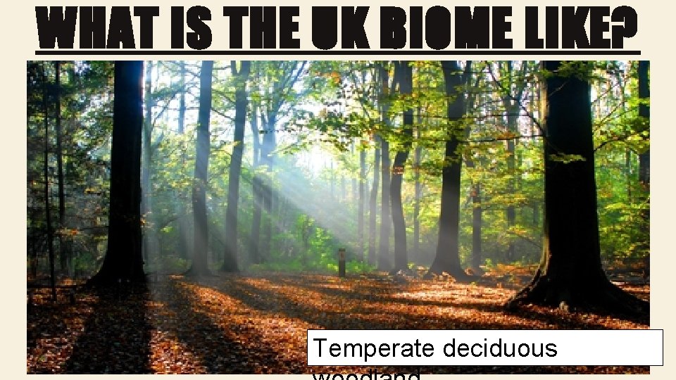 3 7 Deciduous woodland ecosystems provide a range