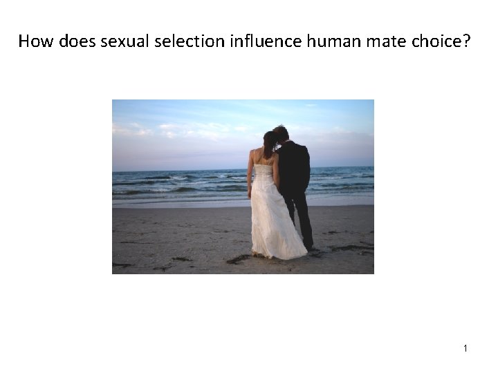 How does sexual selection influence human mate choice