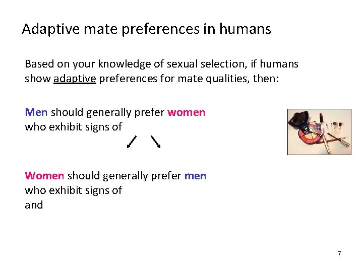 How does sexual selection influence human mate choice