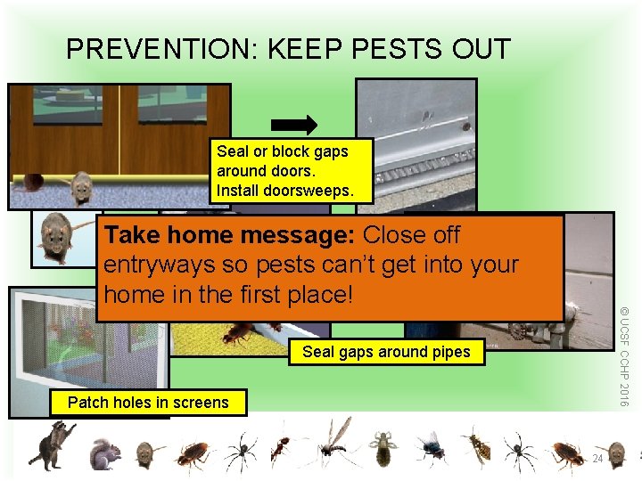 INTEGRATED PEST MANAGEMENT IN FAMILY CHILD CARE HOMES