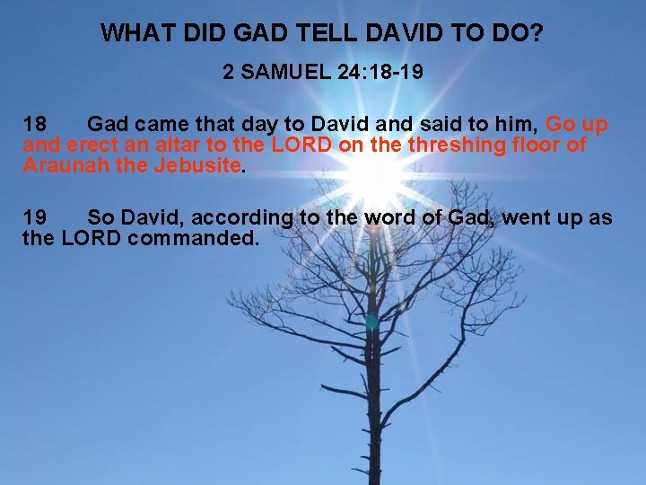 DAVID NUMBERS THE ISRAELITES BY HAROLD HARSTVEDT LESSON