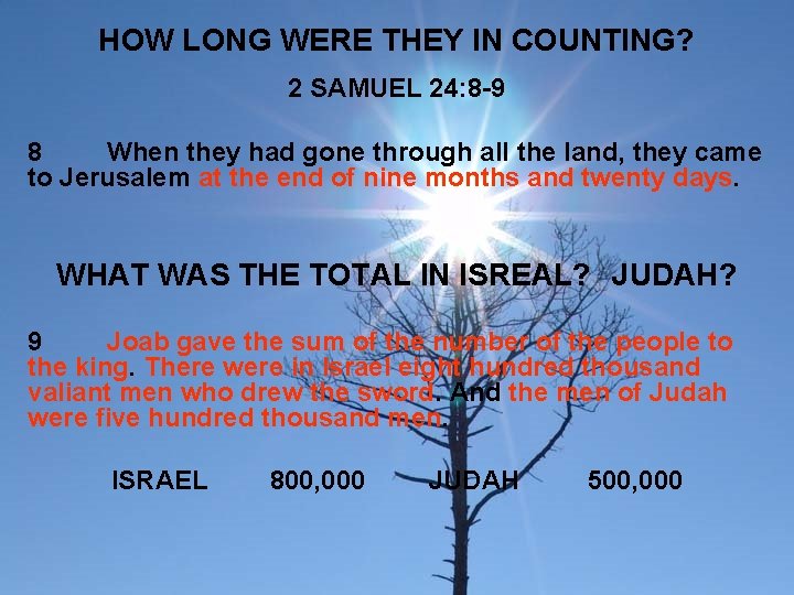 DAVID NUMBERS THE ISRAELITES BY HAROLD HARSTVEDT LESSON