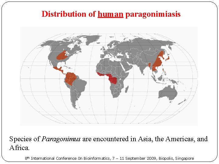 Phylogenetic reconstruction using secondary structures and sequence motifs