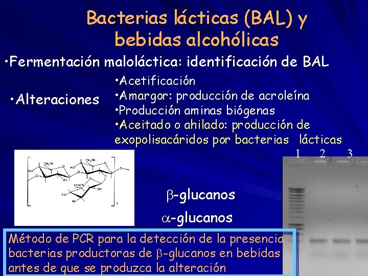 Uso y control de bacterias lcticas en la