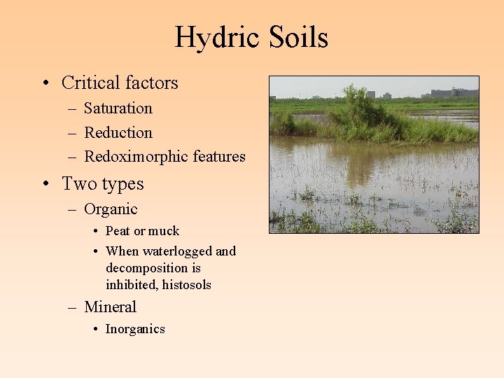 Formation Chemistry and Biology of Wetland Soils Maverick