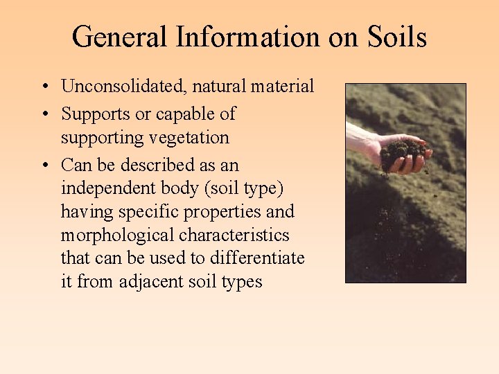 Formation Chemistry and Biology of Wetland Soils Maverick