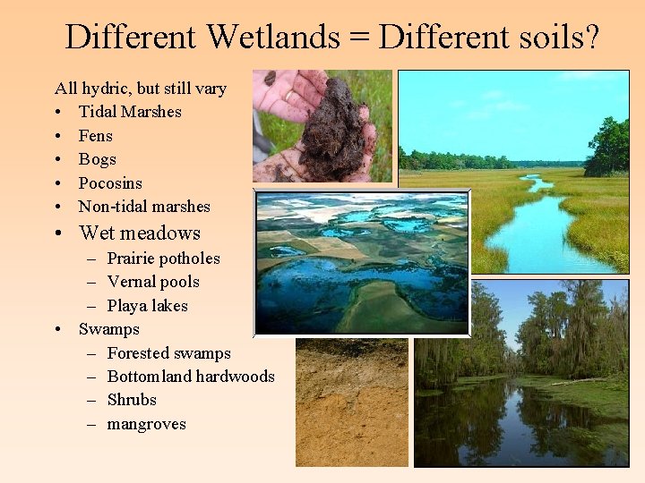 Formation Chemistry and Biology of Wetland Soils Maverick
