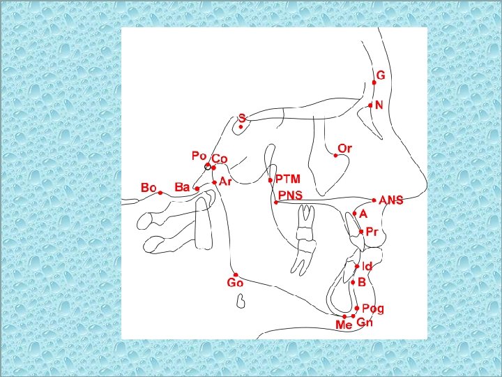 cephalometric radiograph is a diagnostic radiography as a