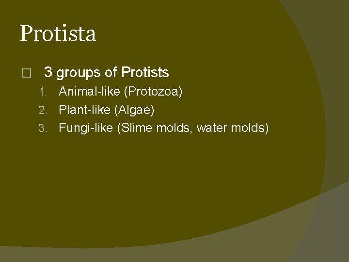 PROTISTS FUNGI Ch 20 21 Todays Learning Objectives