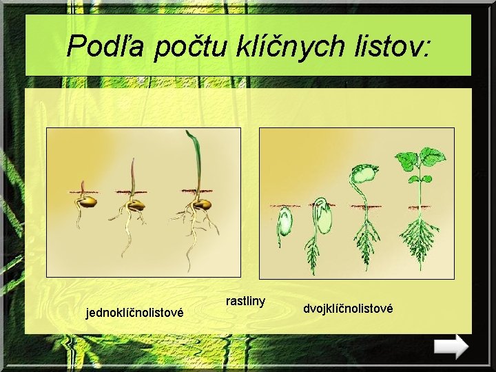 ivot rastln Biolgia 9 ronk Viera Koick ivotn