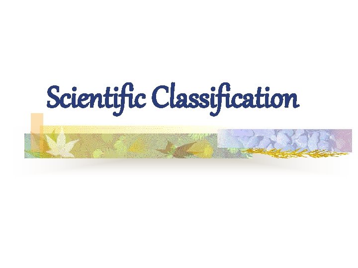 Scientific Classification CLASSIFICATION n Defn The grouping of
