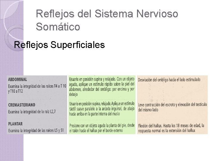 EXAMEN DE LOS REFLEJOS Reflejos del Sistema Nervioso