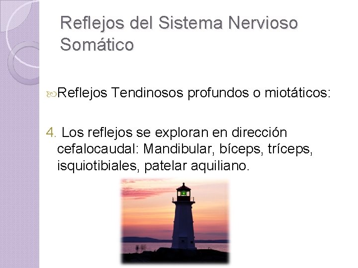 EXAMEN DE LOS REFLEJOS Reflejos del Sistema Nervioso