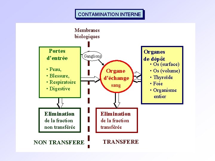 RISQUE NUCLEAIRE OU RADIOLOGIQUE 1 1 Dfinitions 1