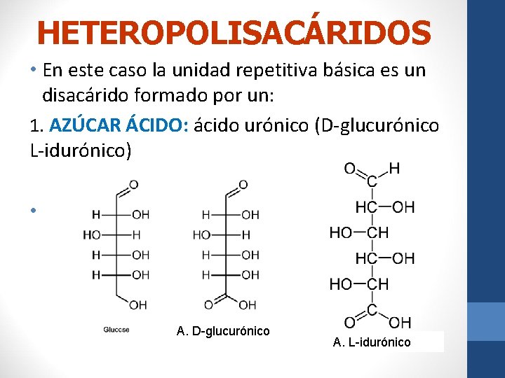 SEMANA 26 DISACARIDOS Y POLISACARIDOS Captulo 17 DISACRIDOS