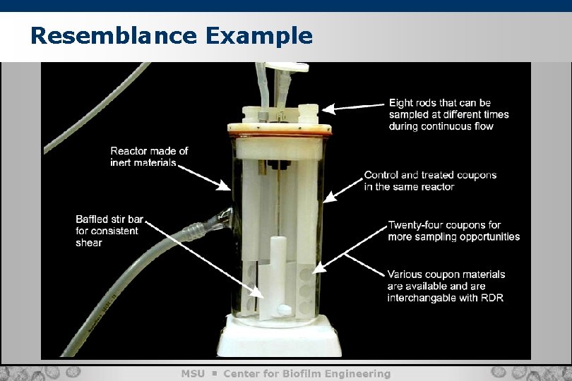 Center for Biofilm Engineering Importance of Statistical Design
