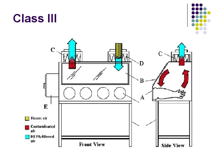 Biological Safety Cabinets and Chemical Fume Hoods By