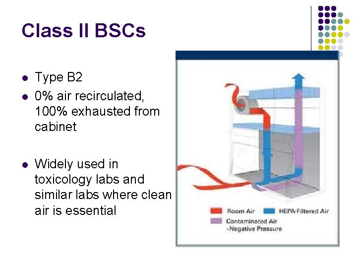 Biological Safety Cabinets and Chemical Fume Hoods By