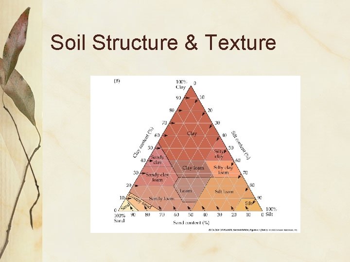 Plant Ecology Chapter 4 Soils Minerals Soil Structure