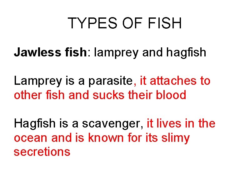 TYPES OF FISH Jawless fish lamprey and hagfish