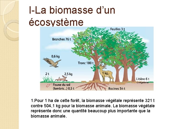 Correction TP 19 la photosynthse lchelle plantaire ILa