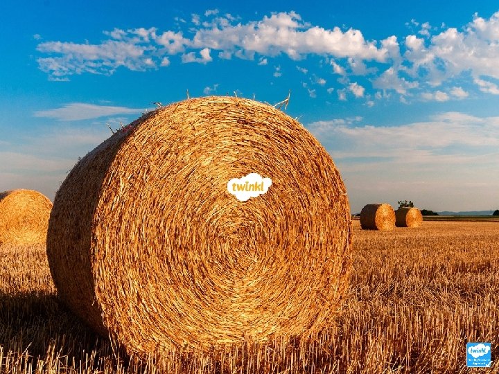 What Is Harvest Harvest is a collection of