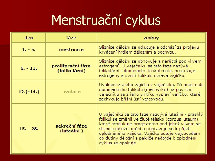 Anatomie a fyziologie reproduknch orgn menstruace ensk pohlavn