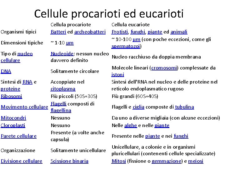 Cellule procarioti ed eucarioti Cellule procarioti ed eucarioti