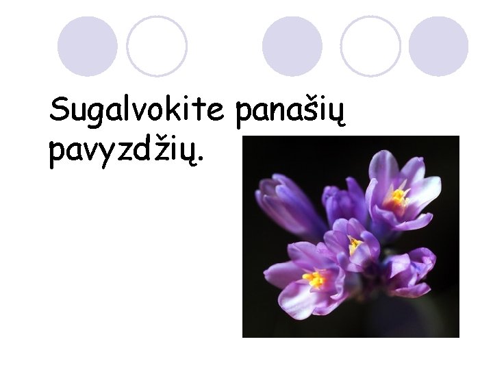 TARINYS IR JO RYS SUSIPAINKIME SU TARINIU TARINYS