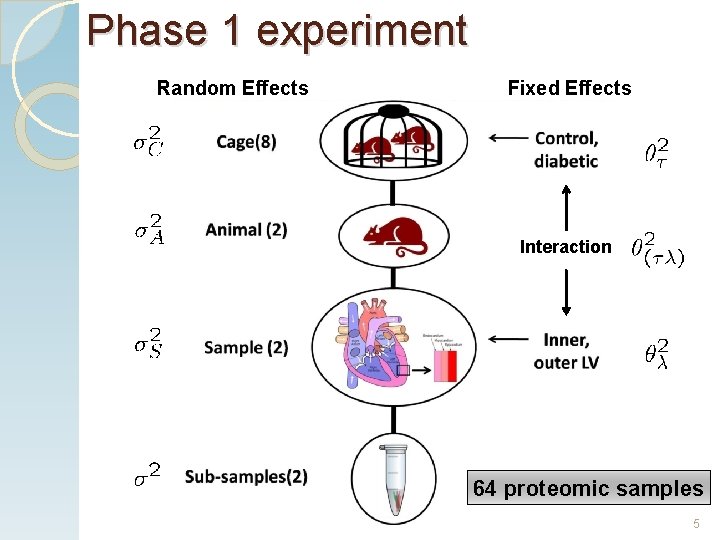Twophase design for a highthroughput proteomics experiment Kevin