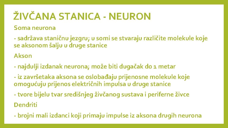 19 PODJELA GRAA I FUNKCIJA IVANOG SUSTAVA Medicinska