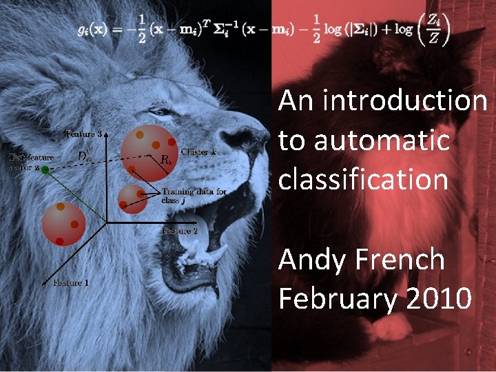 An introduction to automatic classification Andy French February