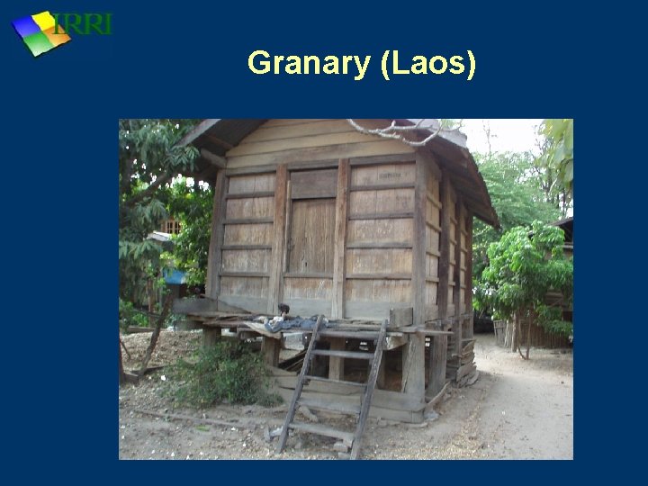 Rice Storage Systems Joe Rickman and Martin Gummert
