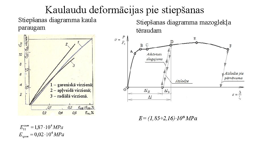Kaulaudu biomehnika Dr habil biomeh I Adamovia Bioloiskie