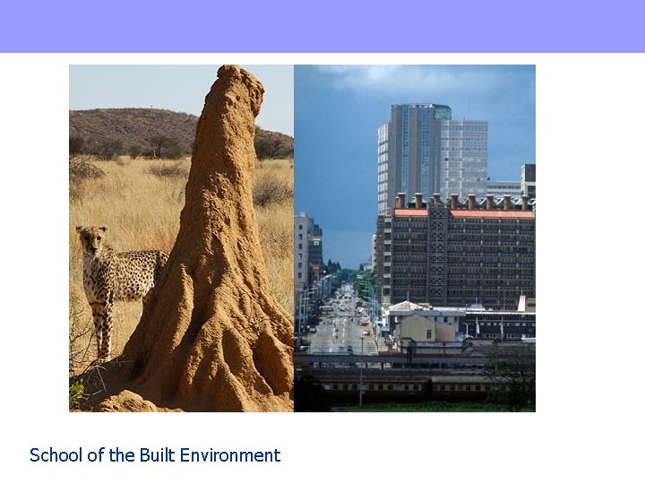 BIOMIMETIC ARCHITECTURE Green Building in Zimbabwe Modeled After