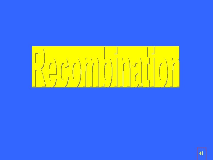 1 Molecular Genetics 1 Replication and Recombination 2