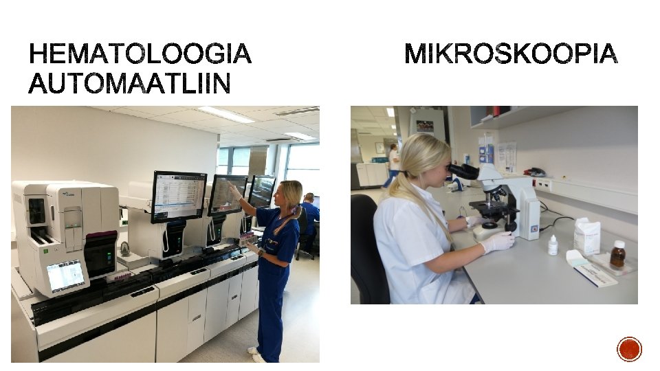 Iige Viigimaa Tallinnas 05 09 2019 Plasma Vesi