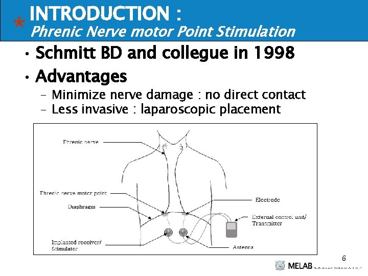 Clinical Application of the Diaphragmatic Breathing Pacemaker Using
