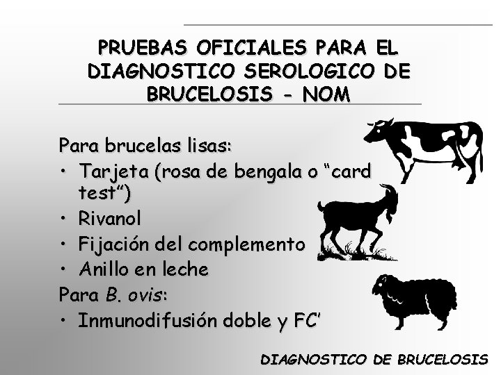 USO E INTERPRETACION DE LAS PRUEBAS DE DIAGNOSTICO