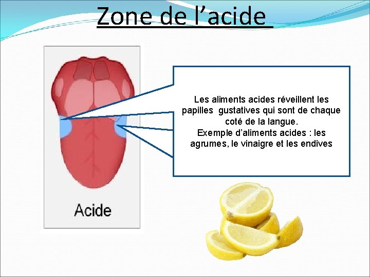 Lanalyse Sensorielle LA VUE LOUE LE TOUCHER LODORAT